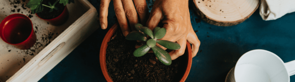 Shopify Growth Workshop | Digital Marketing strategy 2023